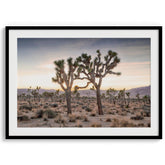 Photography Wall Art Prints Collection | Wow Photo Art